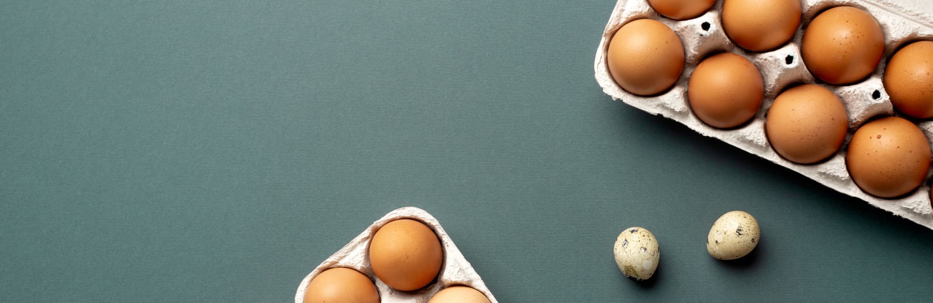 Cartzilla | Grocery Store